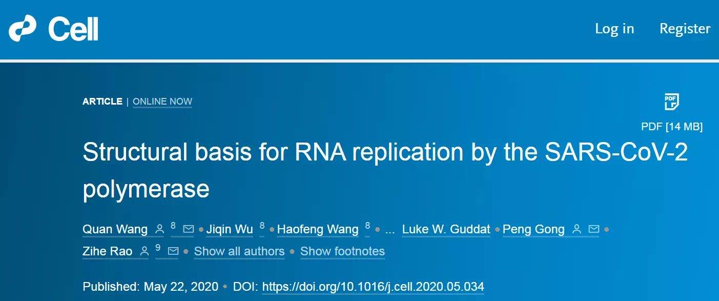 荣登Cell |饶子和/王权与合作者描绘新冠病毒RdRp-nsp7-nsp8转录复制机器在工作状态下的核心特征